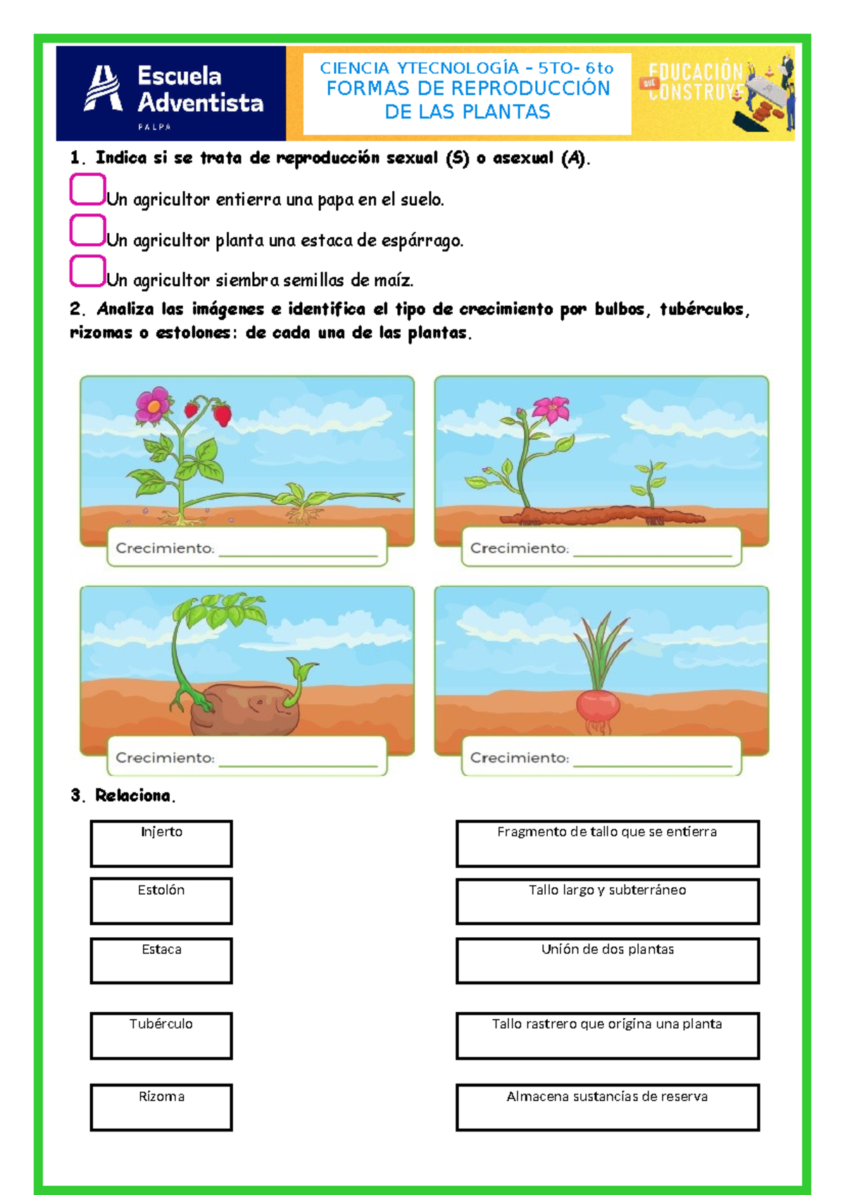 CIENCIA Y TECNOLOGÍA 6to: Formas de Reproducción de las Plantas - Studocu