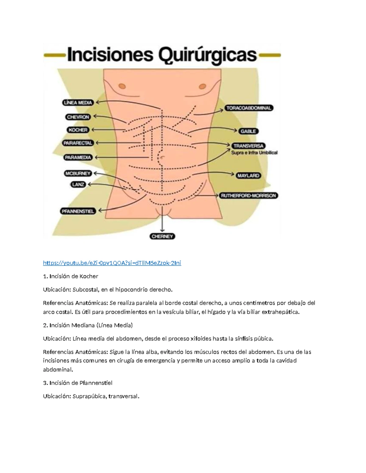 Aspectos clave sobre la Ligadura Quirúrgica y Esplenectomía - Studocu