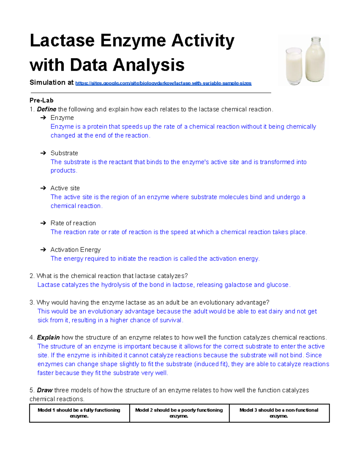 Lactase Enzyme Introductory Bio II Lab - Lactase Enzyme Activity with ...
