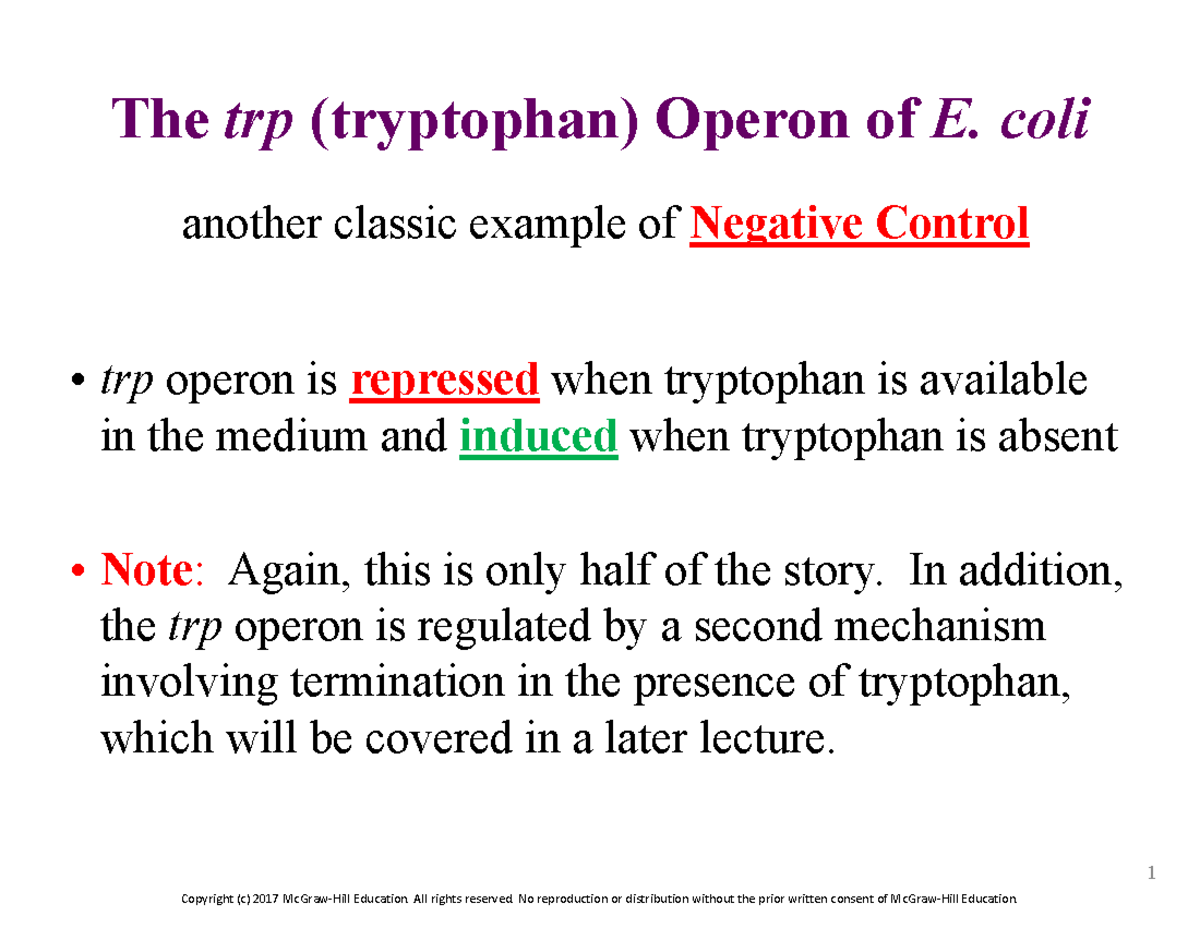 Regulation of the trp Operon and ara Control Systems (Lecture 19) - Studocu