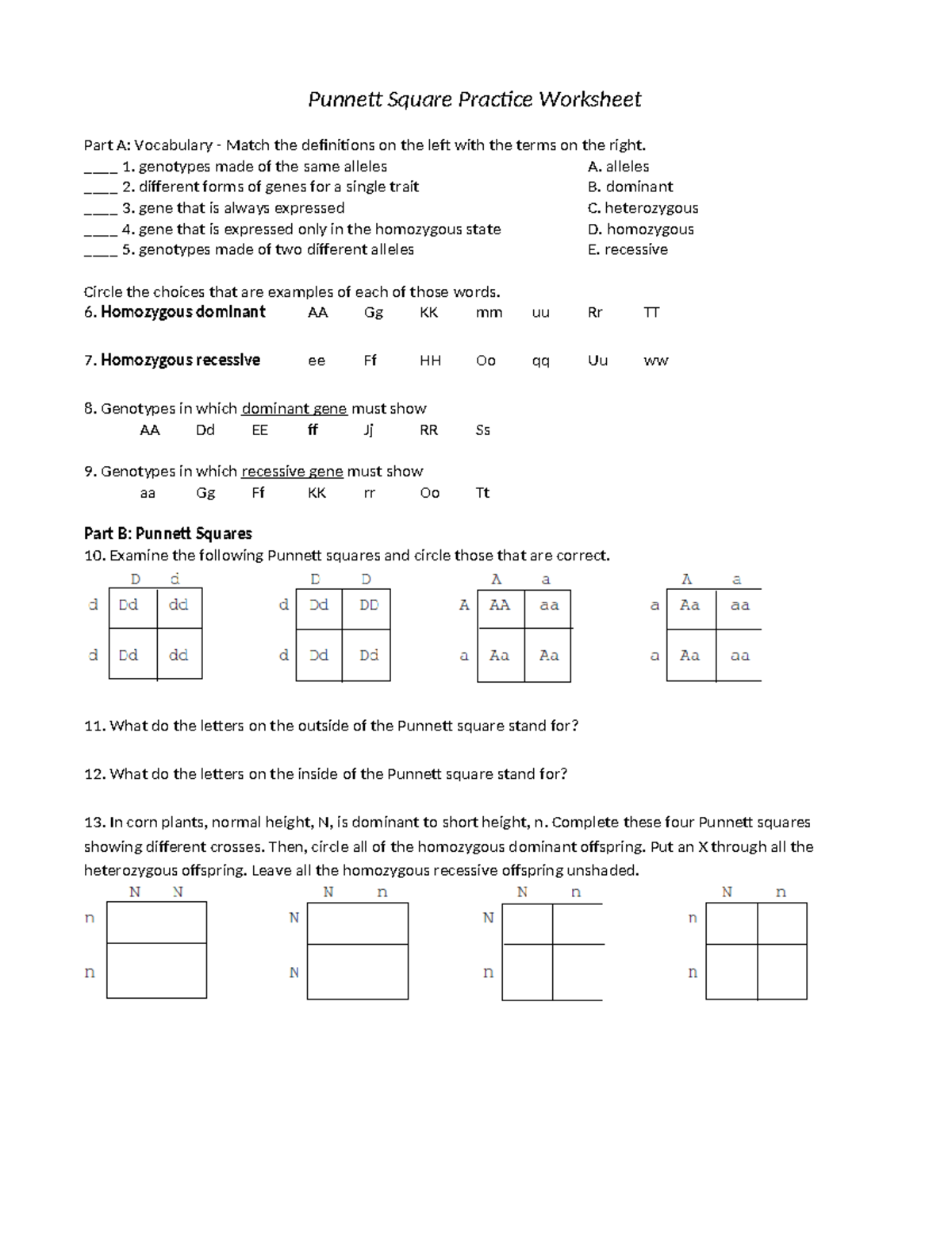 Punnett Square Practice Worksheet: Vocabulary & Squares - Studocu