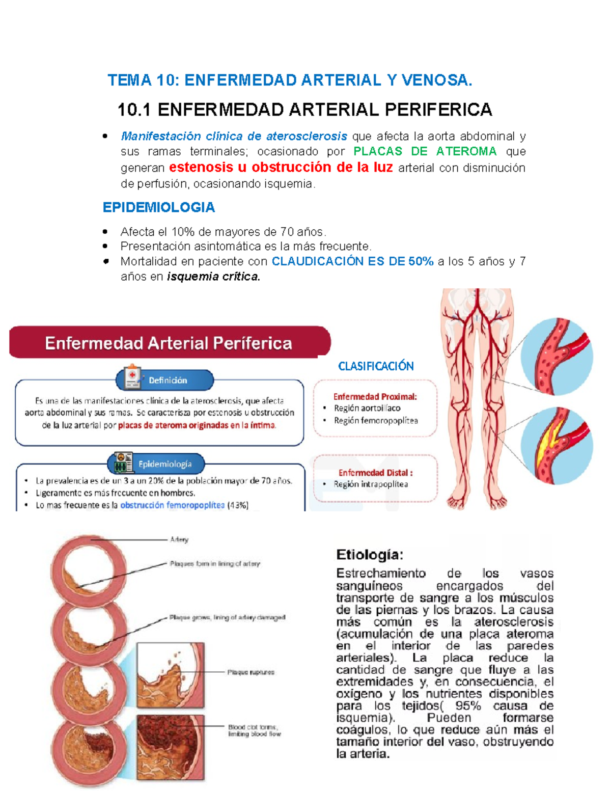 Enarm 2024: Temas de Cirugía General (Secciones 10 y 11) - Studocu