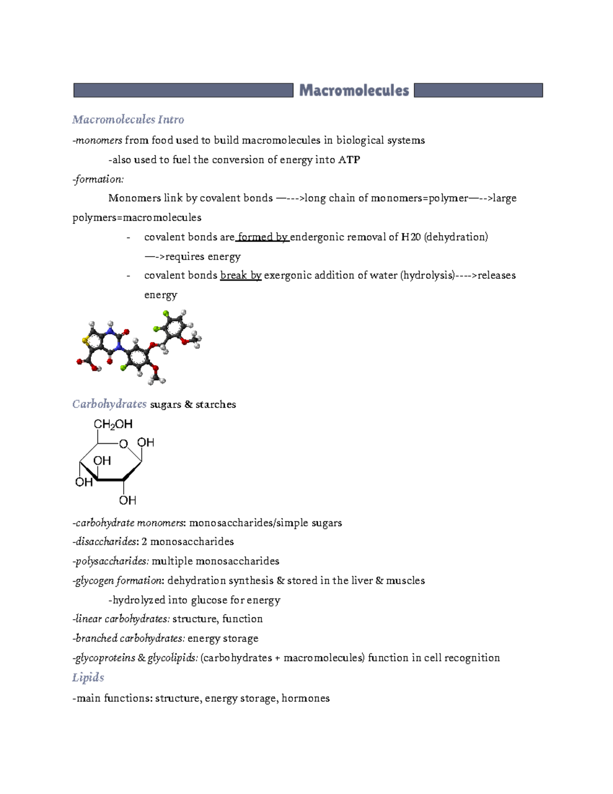 Overview of Macromolecules: Carbs, Lipids, Proteins, and Nucleic Acids ...