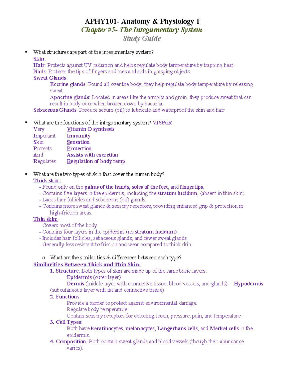 APHY101 Chapter 5 Study Guide: The Integumentary System Insights - Studocu