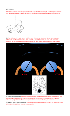 Isometropía y Anisometropia 2 - INTRODUCCIÓN El ojo del ser humano ...