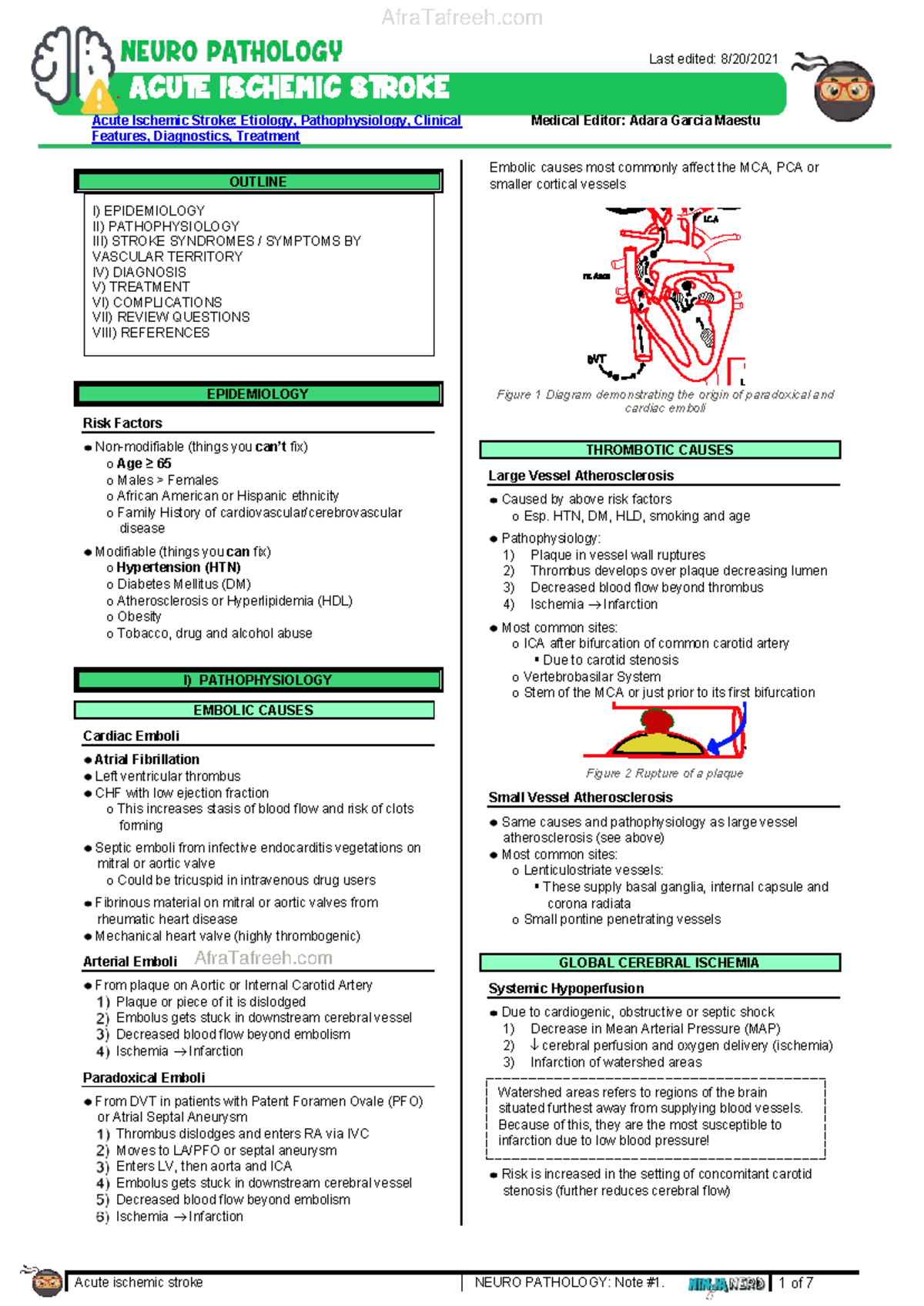 ACUTE ISCHEMIC STROKE: Etiology, Pathophysiology, and Treatment ...