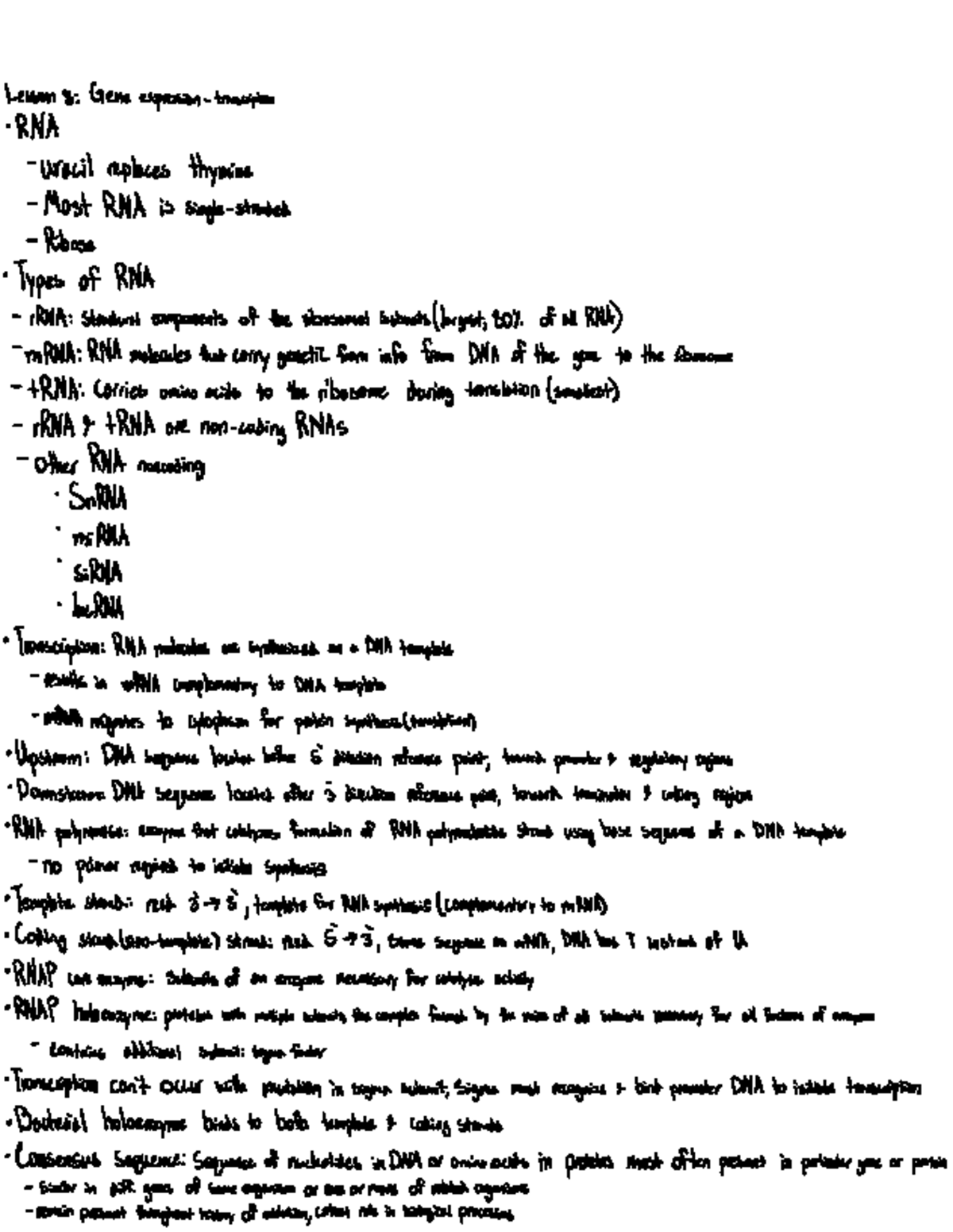 Gene Expression Regulation: Transcription & Translation (BIO 101) - Studocu