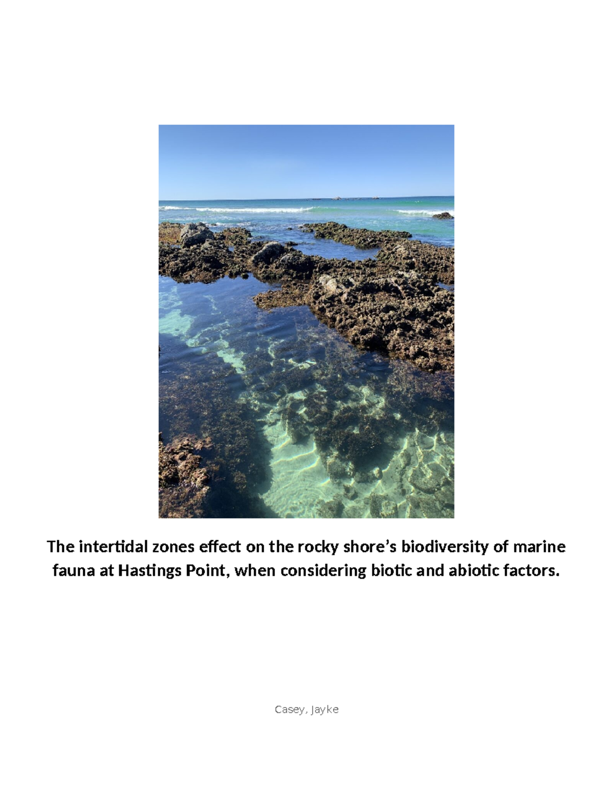 Rocky Shores IA2: Impact of Intertidal Zones on Marine Biodiversity at ...