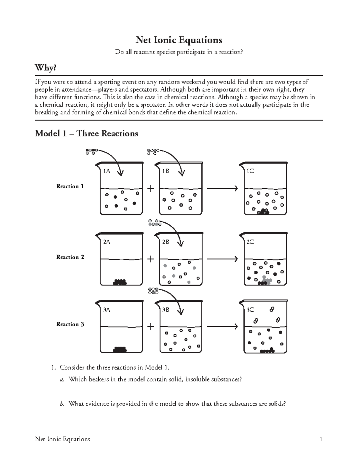 Pogil - Net Ionic Equations: Understanding Spectator Ions and Reactions ...