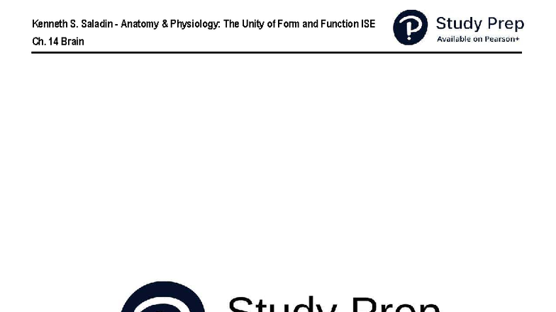 Anatomy & Physiology ISE: Ch. 14 Brain Overview and CNS Functions - Studocu