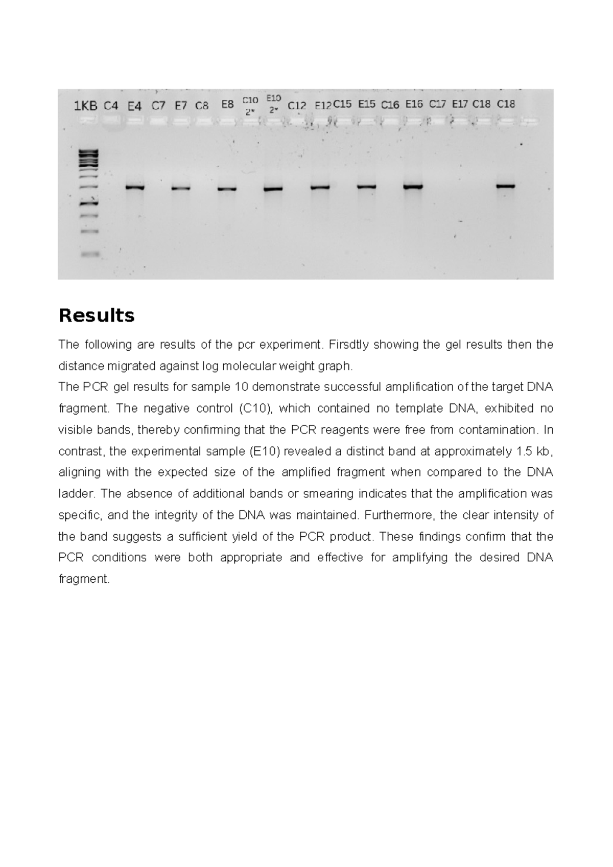 PCR Experiment Results and Analysis - Practical Report - Studocu