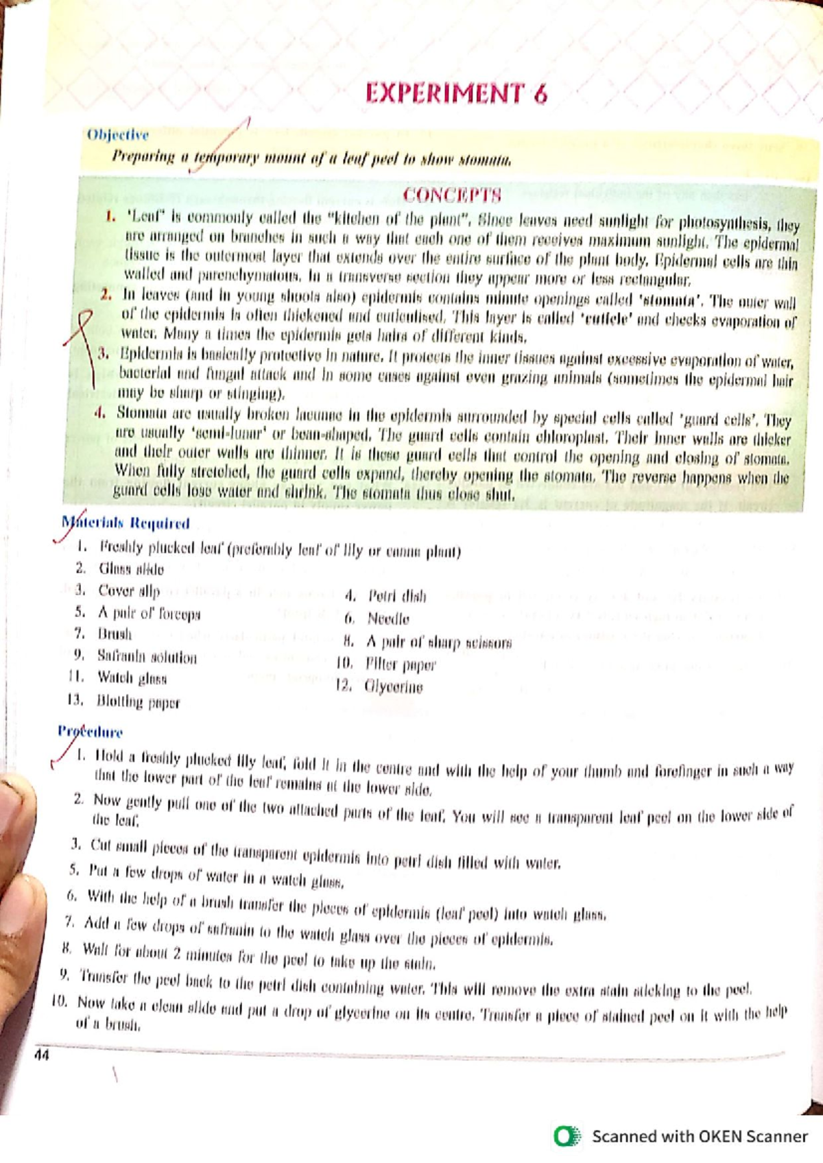 Biology Lab Manual: Experiment 6 - Stomata in Leaf Peels (Class 10 ...