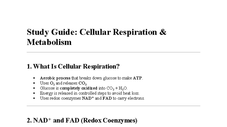Study Guide: Cellular Respiration & Metabolism Concepts - Study Guide ...