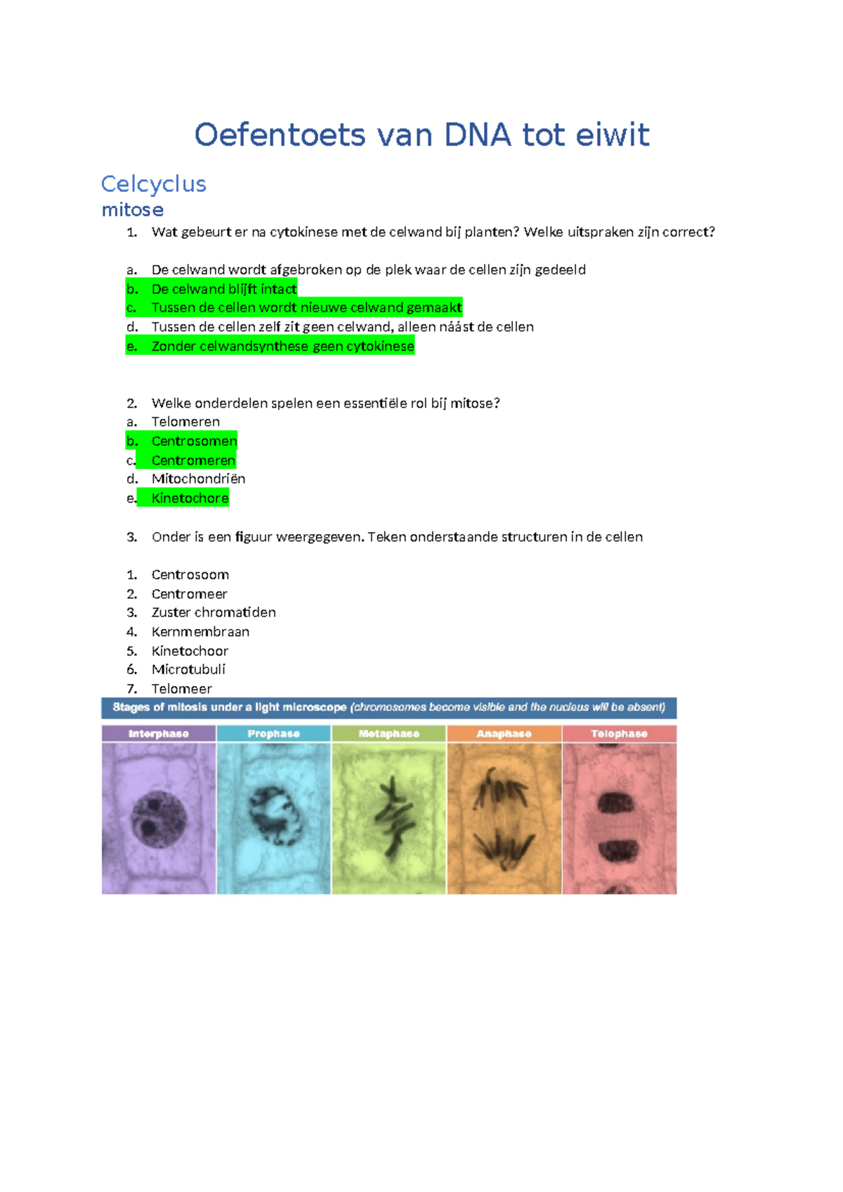 Oefentoets Biologie: Van DNA naar Eiwit - Studentversie met Antwoorden ...