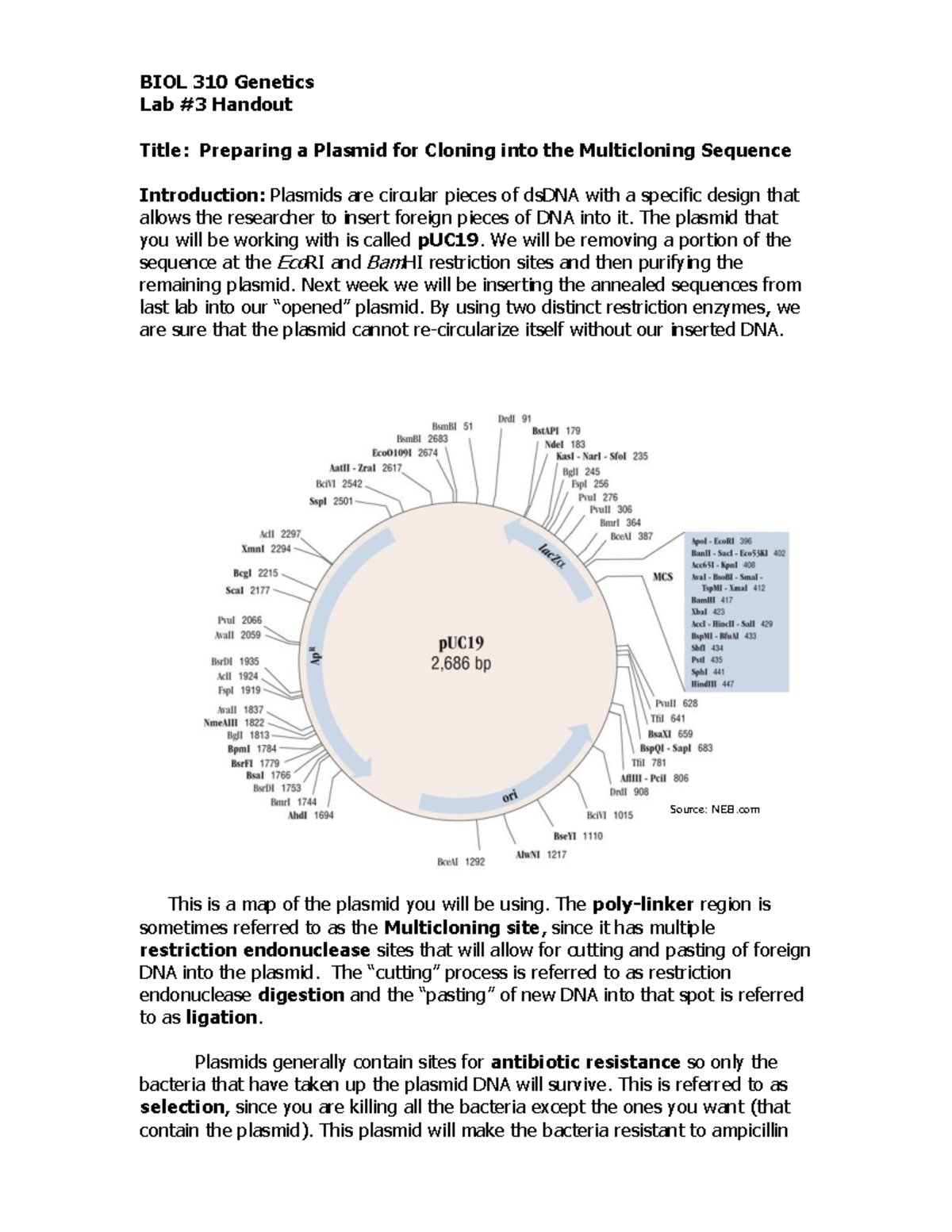 BIOL 310 Genetics Lab #3: Plasmid Preparation for Cloning - Studocu