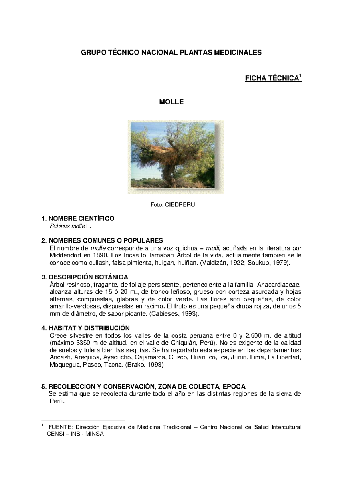 FICHA TÉCNICA DE MOLLE (Schinus molle L.) - PLANTAS MEDICINALES - Studocu