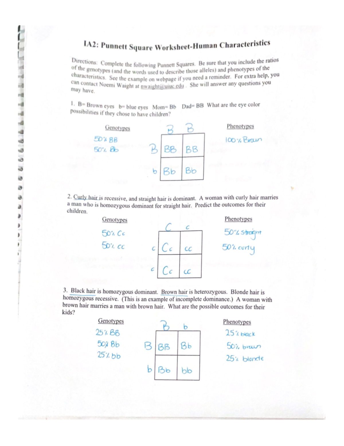 IA2: Punnett Squares for Human Characteristics and Phenotype ...