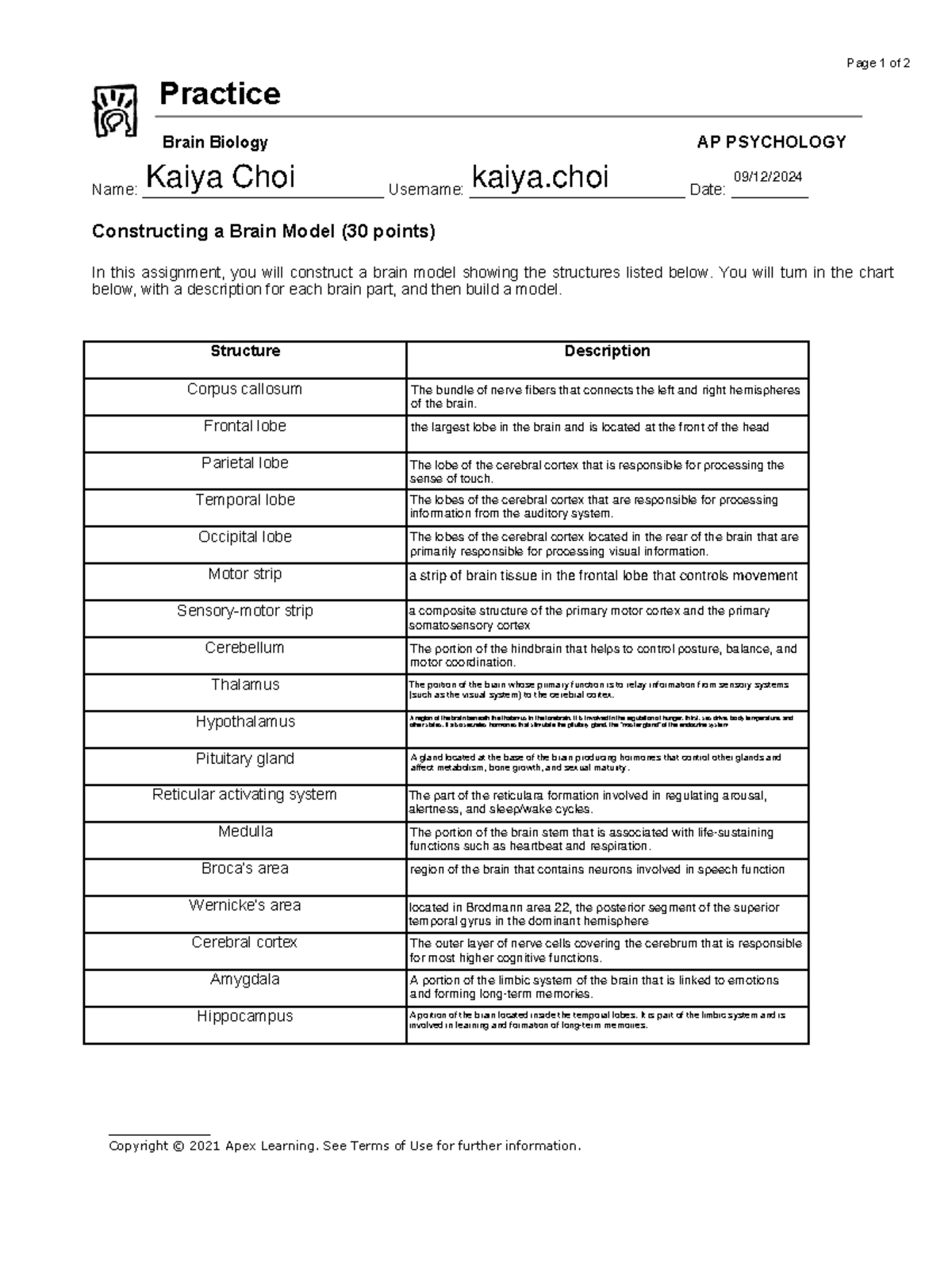 AP Psych Assignment: Brain Model Construction Guide - Studocu