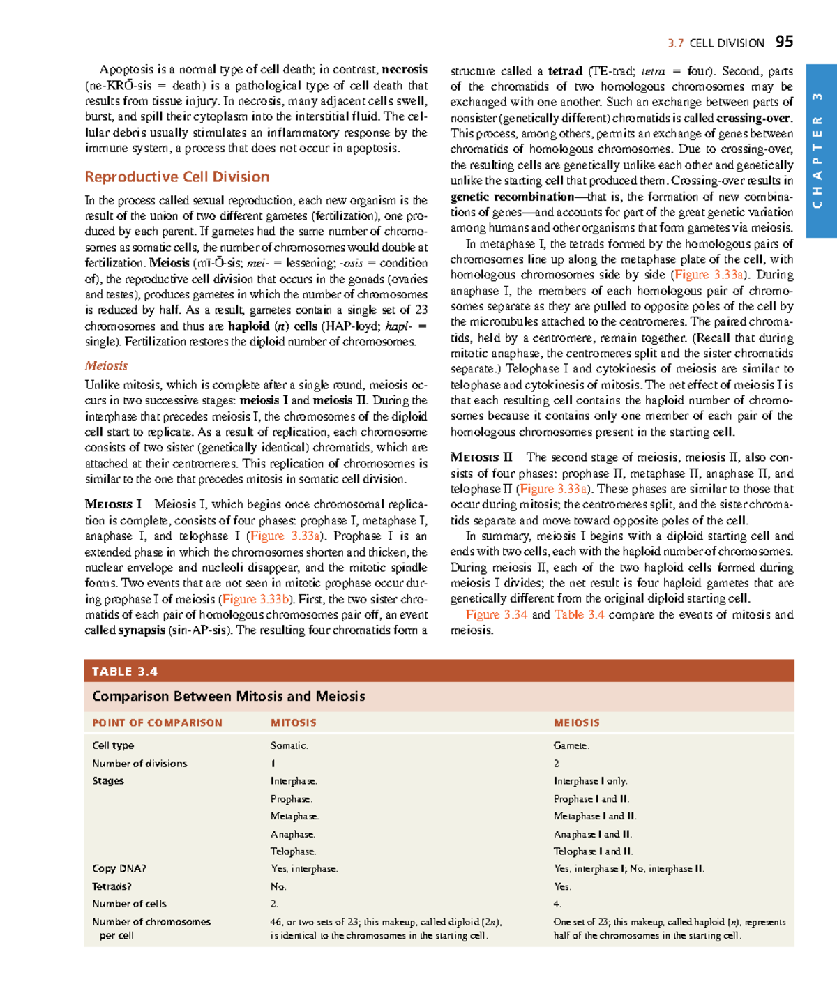 Anatomyand Physiology-43 - C H A P T E R 3 Apoptosis is a normal type ...