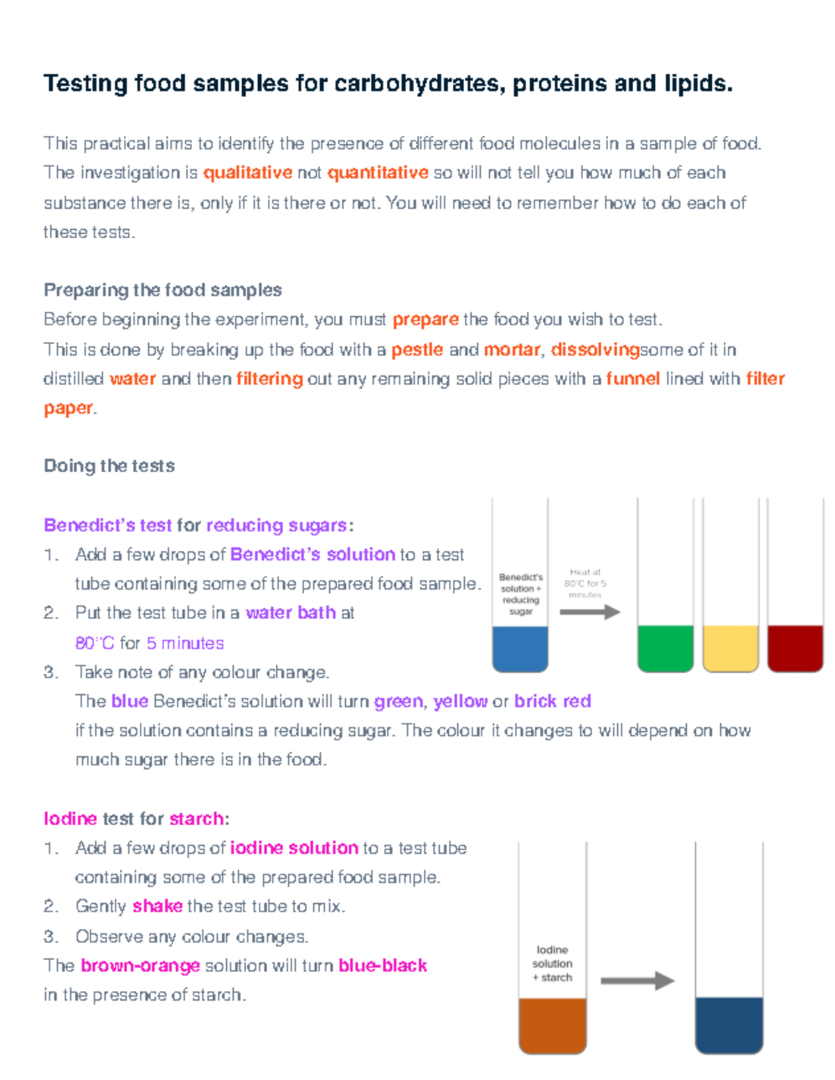 Biology Practical: Food Tests for Carbs, Proteins & Lipids - Studocu
