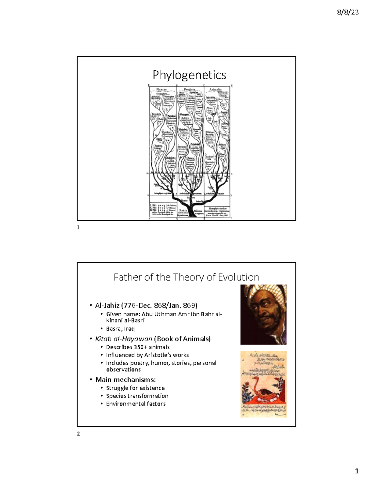 Phylogenetics 1: Understanding Evolutionary Relationships & Tree Construction - Studocu