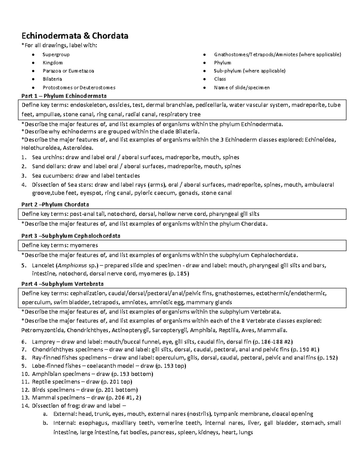Echinodermata and Chordata In-lab Handout - Echinodermata & Chordata ...