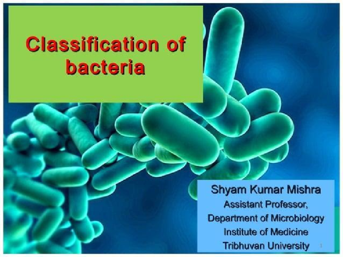 Bacteria PPT - Classification of bacteria Shyam Kumar Mishra Assistant ...