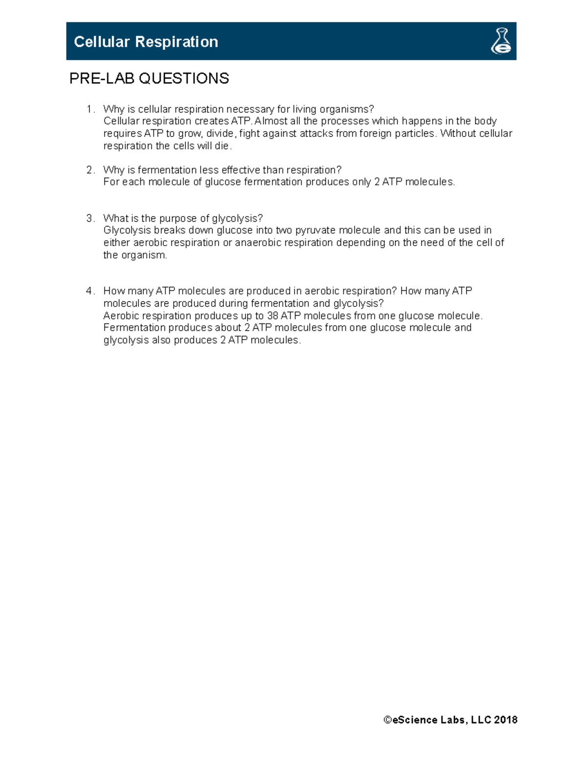 BIOL 101: Cellular Respiration & Yeast Metabolism Lab Notes - Studocu