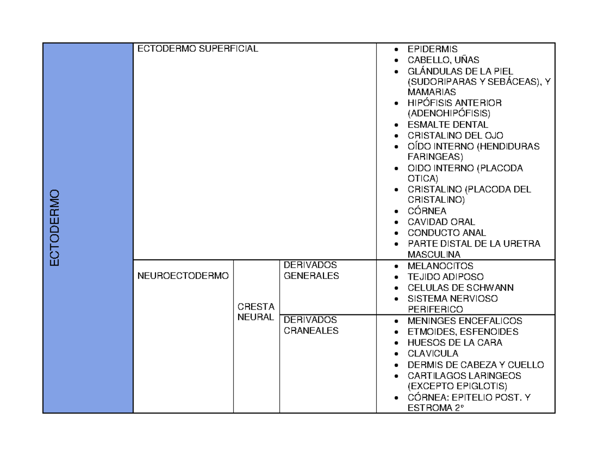 Capas Germinales - ECTODERMO ECTODERMO SUPERFICIAL EPIDERMIS CABELLO ...