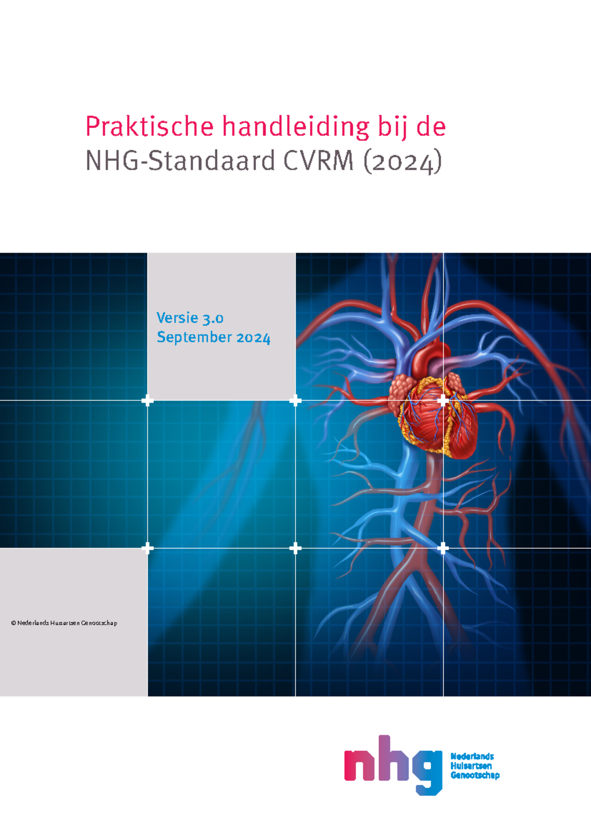 Praktische Handleiding NHG-Standaard CVRM (2024) - Versie 3 - Studeersnel