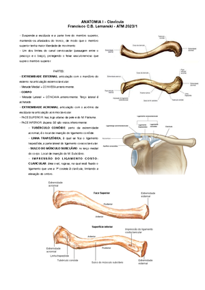 Cordon Espermatico - Moore. Fundamentos de Anatomía Con Orientación ...