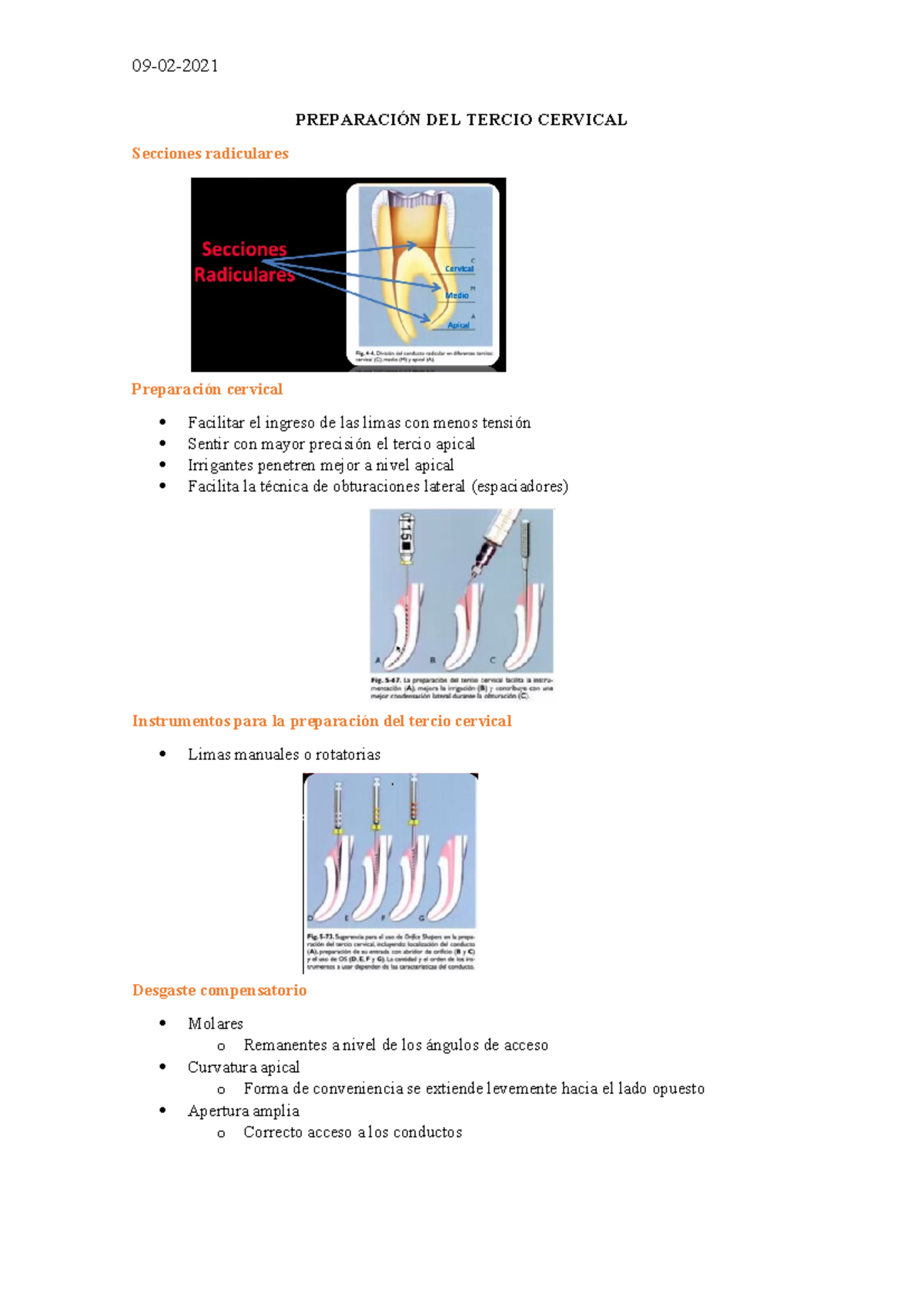 Técnica y Preparación del Tercio Cervical Radicular en Endodoncia - Studocu