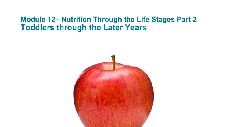 Module 12 Nutrition Through the Life Stages Part 2 PPT - 15 Describe ...