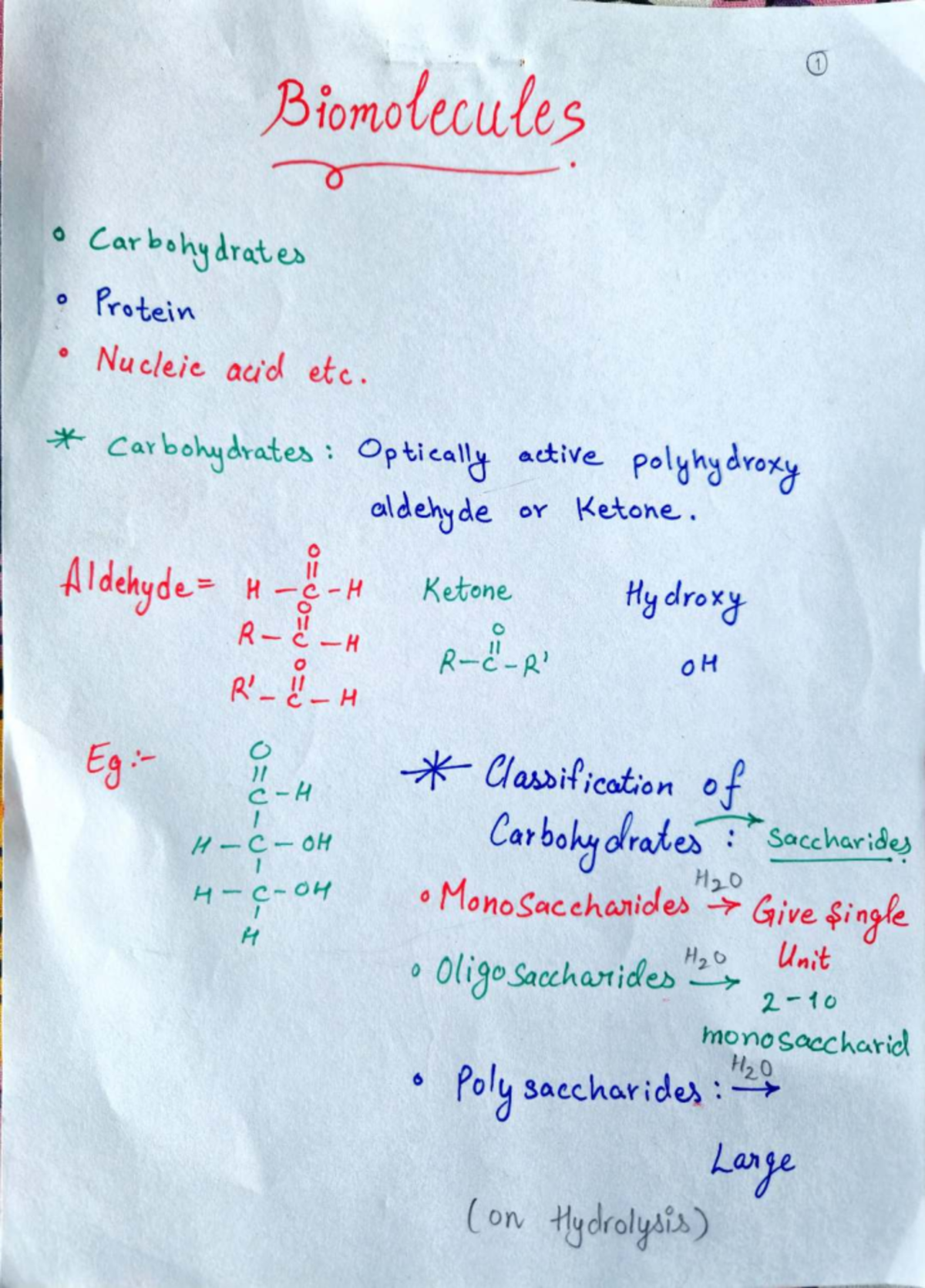 Biomolecules: Carbohydrates, Proteins, and Nucleic Acids Overview - Studocu