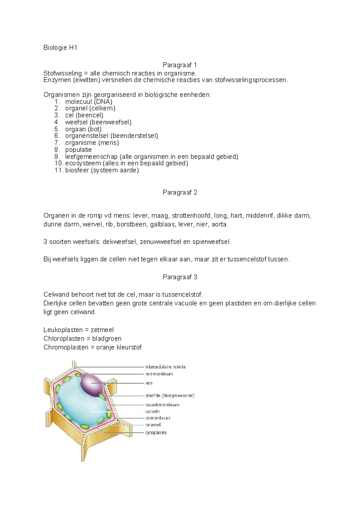 Biologie H1: Stofwisseling en Celstructuur in Organismen - Studeersnel