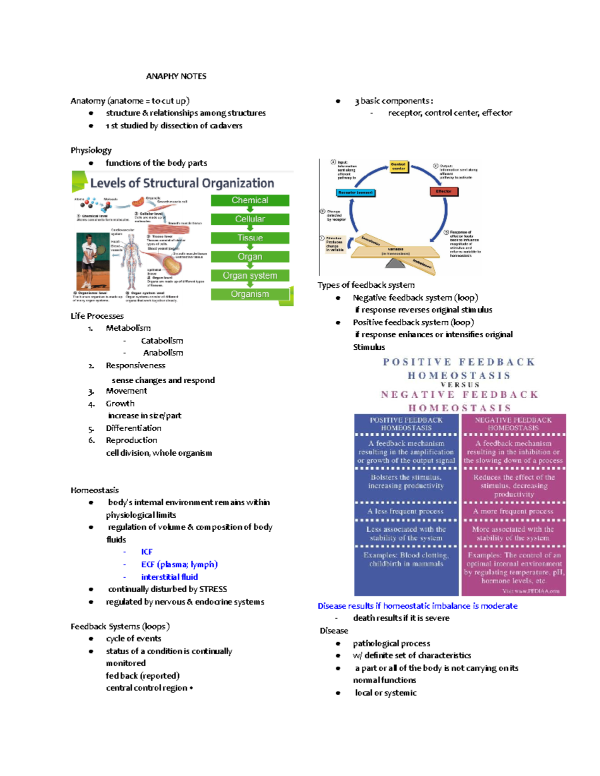 Anatomy and Physiology- LEC - ANAPHY NOTES Anatomy (anatome = to cut up ...
