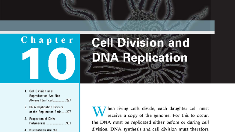 Chapter 10: Cell Division & DNA Replication (Molecular Biology) - Studocu