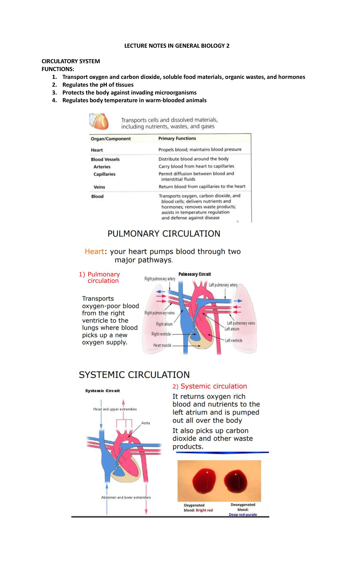 Circulatory-system-lecture - ANATOMY 403 - LECTURE NOTES IN GENERAL ...