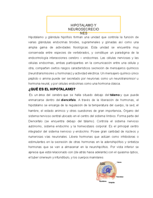 Bula neumonil forte comprimidos - Fórmula: Cada comprimido contiene ...