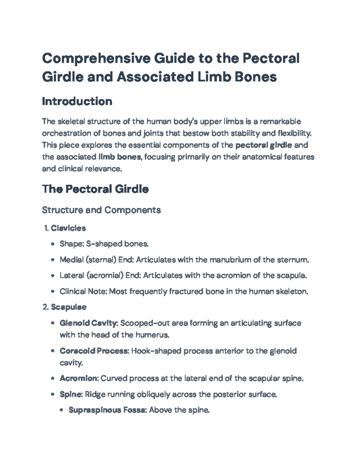 Understanding the Structure and Function of Long Bones in Anatomy - The Structure of Long Bones ...