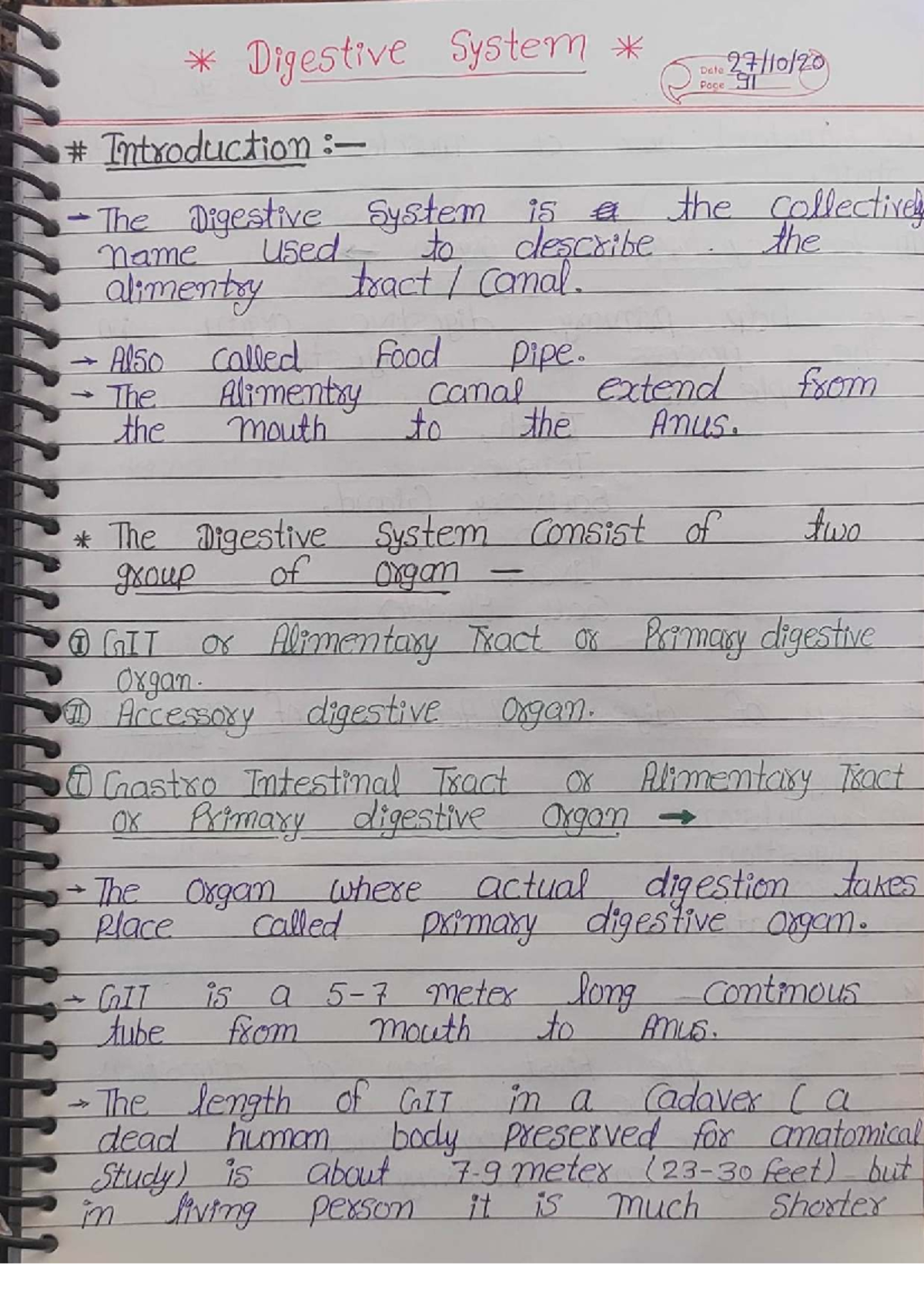 010 Digestive System - Comprehensive Study Notes - Studocu