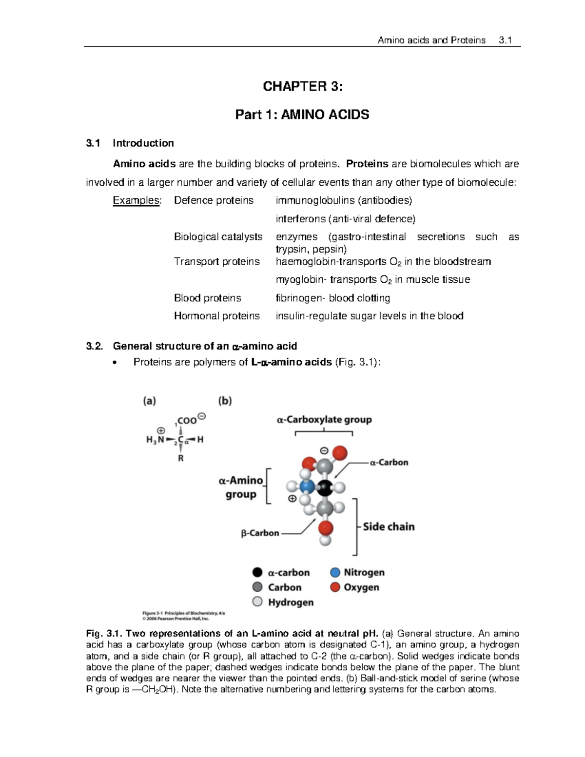 Amino Acids and Proteins: Chapter 3 Overview and Key Concepts - Studocu
