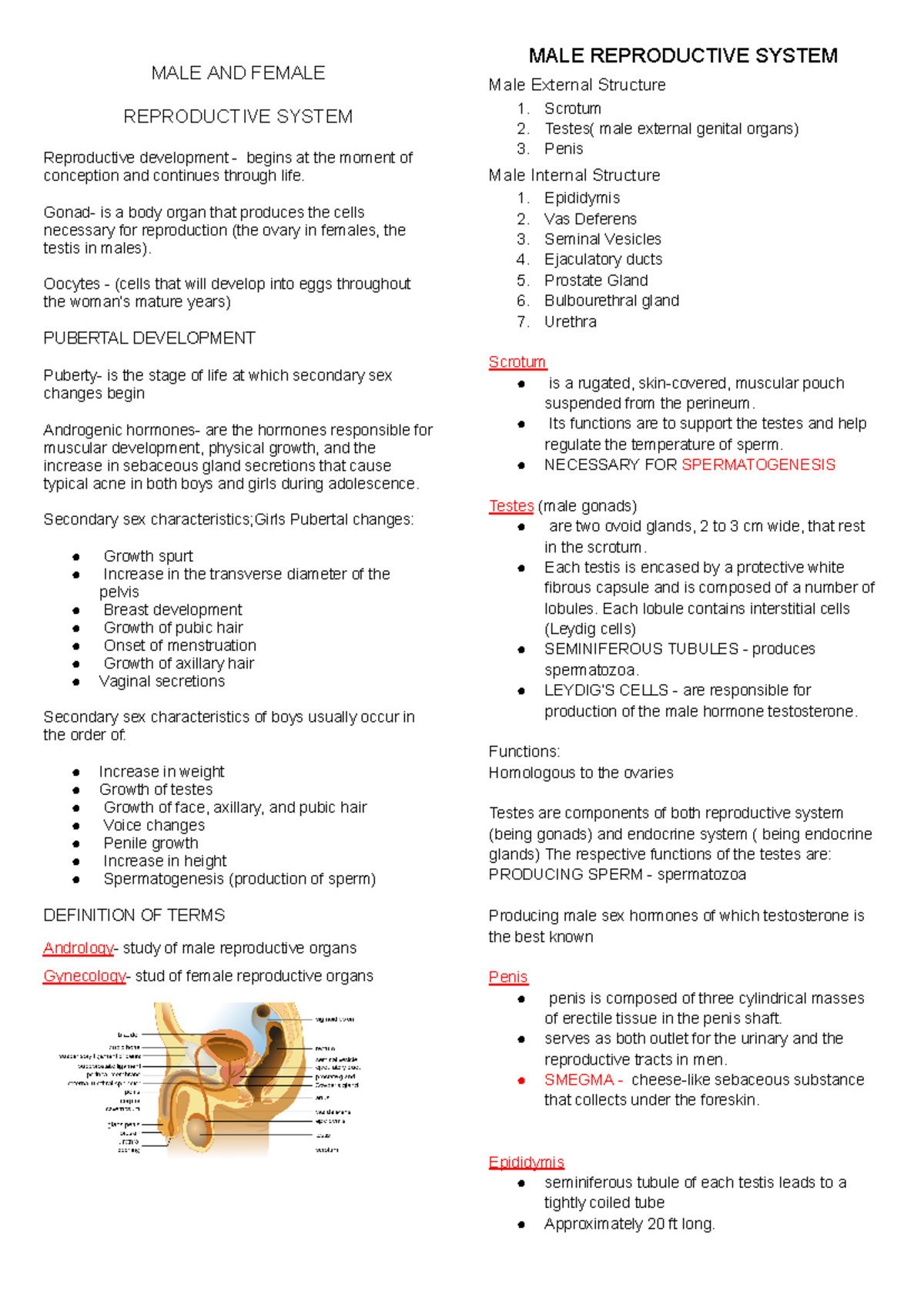 Maternal & Child Health Nursing: Reproductive System Overview - Studocu