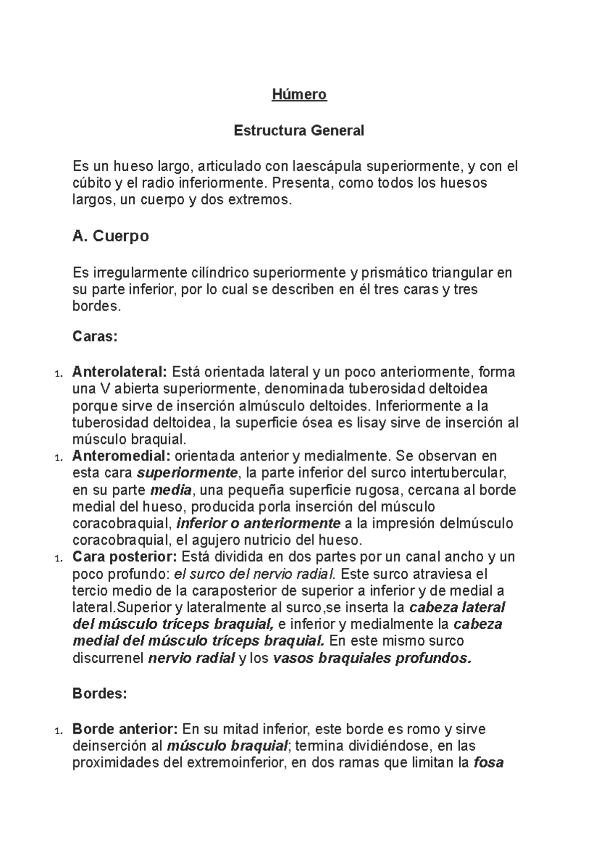 Estructura General del Húmero: Anatomía y Funciones - Studocu