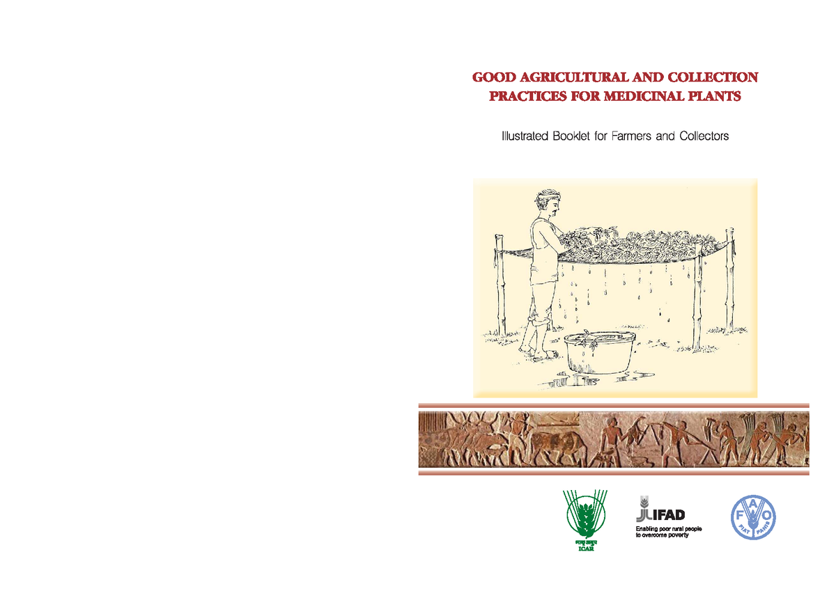 GACP for Medicinal Plants: Illustrated Guide for Farmers and Collectors ...
