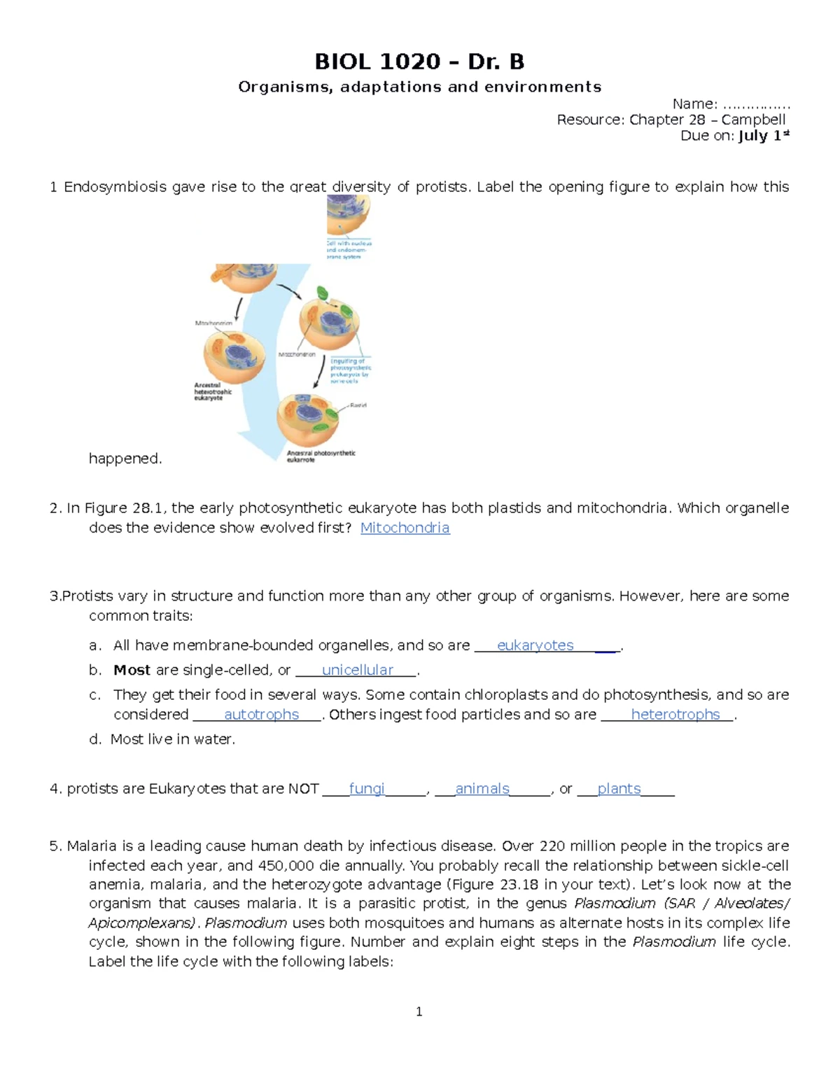 Levels of Biological Organization - Cut and Paste Activity - Studocu