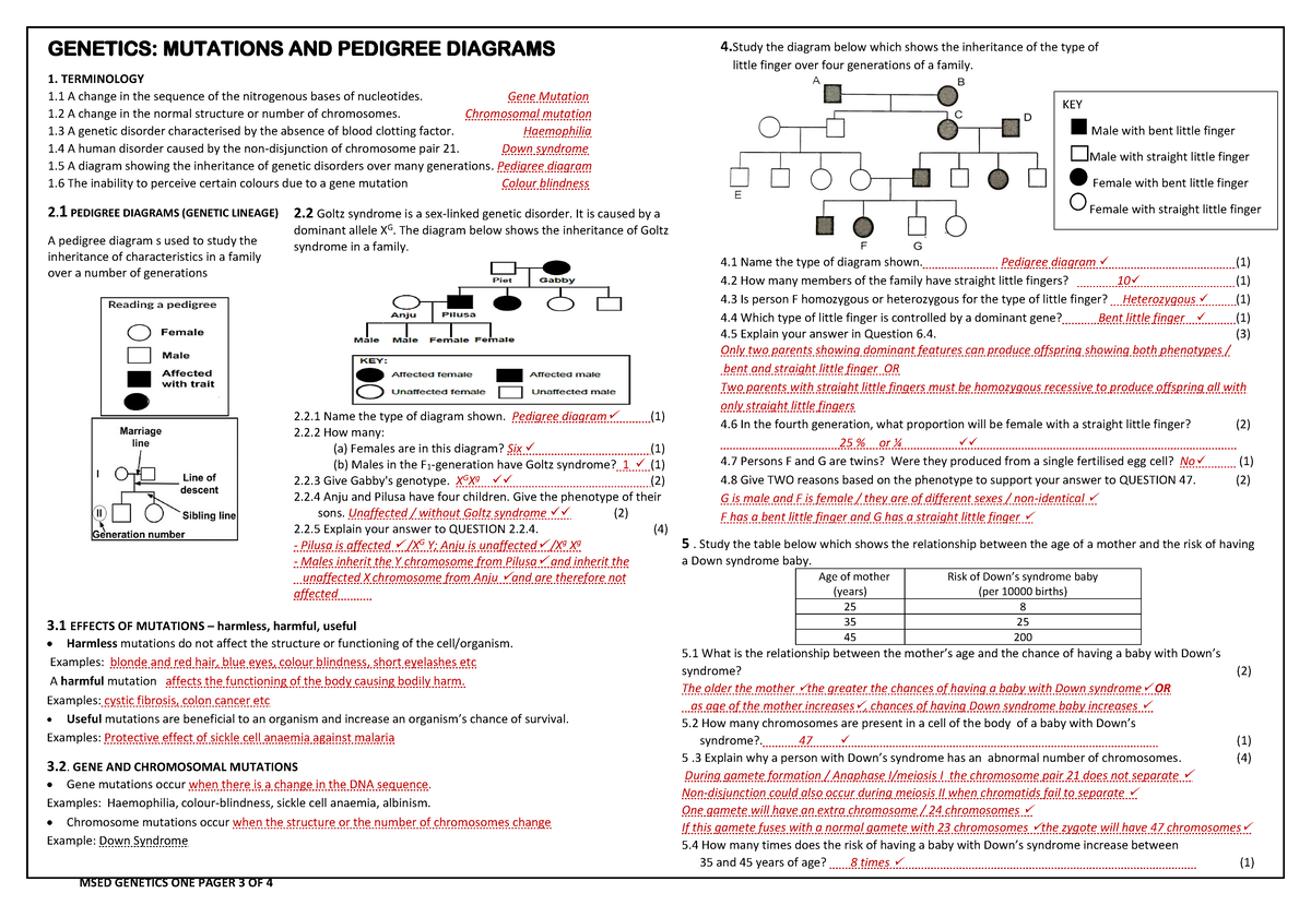 MSED Genetics 1-Pager: Mutations & Pedigree Diagrams (3 of 4) - Studocu