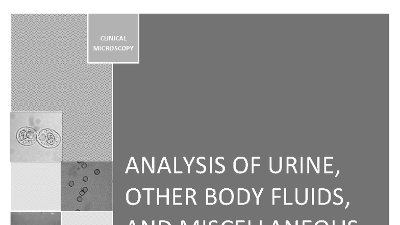 CM 1: Clinical Microscopy Review Notes on Urine & Body Fluids - Studocu