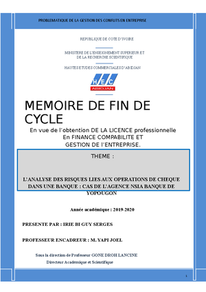 NPV cash flows analysis for asset purchase and depreciation (PVCCATS ...