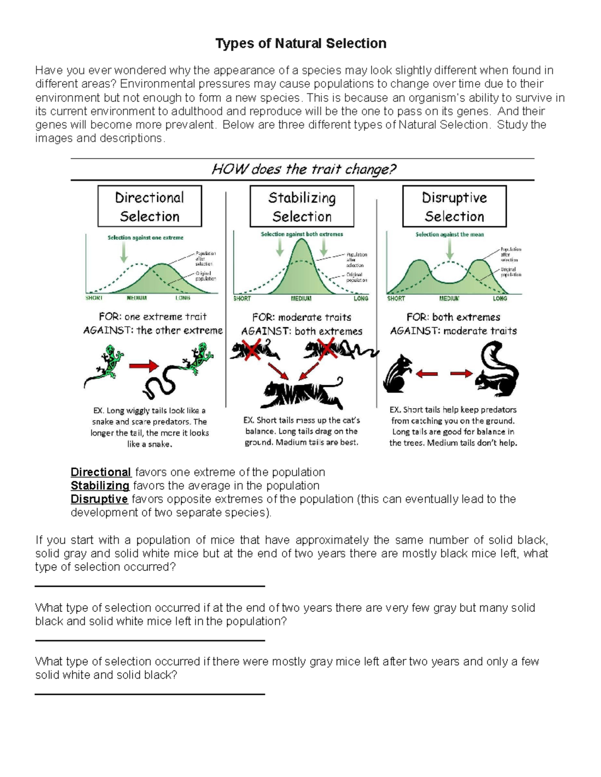 Types of Natural Selection: Patterns and Adaptations in Evolution - Studocu